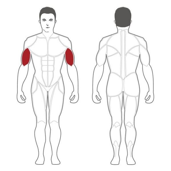 Bicep Curl Machine Drawing