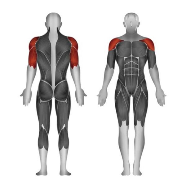 Shoulder Press Machine - Fitness World